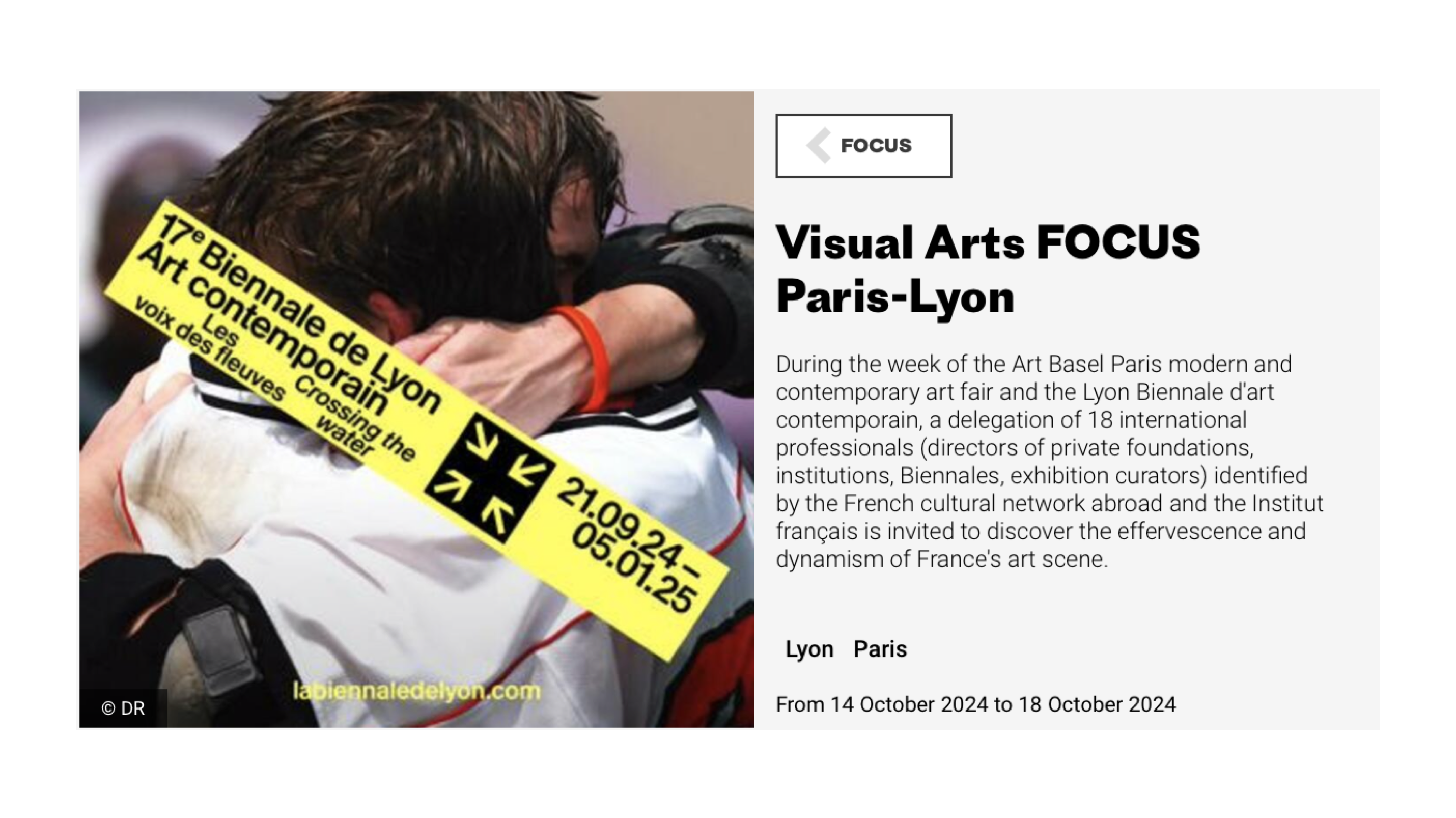 Visual Arts FOCUS Paris-Lyon